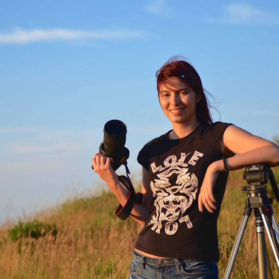 My Flair Airlines Review – Flying From Montreal to Halifax and Halifax ...